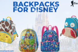 A Brief History of Backpacks: Evolution with Time